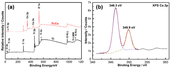 Cell Responses to Calcium- and Protein-Conditioned Titanium: An In ...