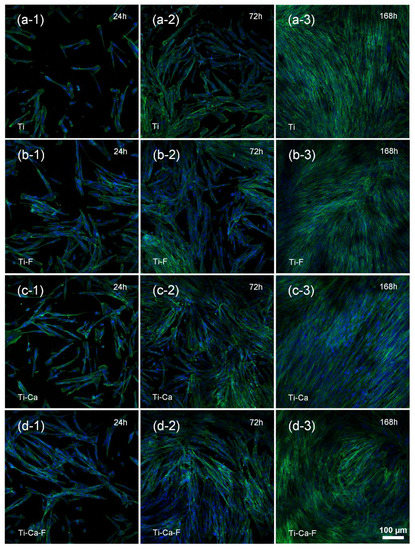 Cell Responses to Calcium- and Protein-Conditioned Titanium: An In ...