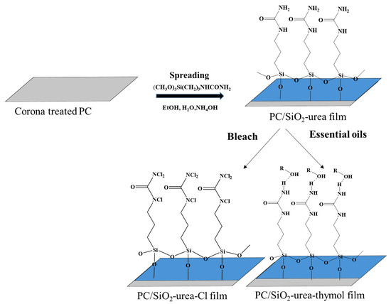 Engineered Cross-Linked Silane with Urea Polymer Thin Durable Coatings ...