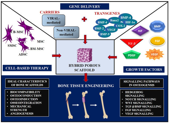 Recent Advancements in Electrospun Chitin and Chitosan Nanofibers for ...