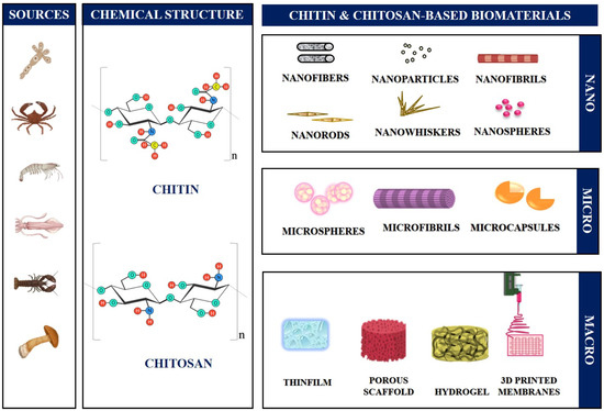 Recent Advancements in Electrospun Chitin and Chitosan Nanofibers for ...