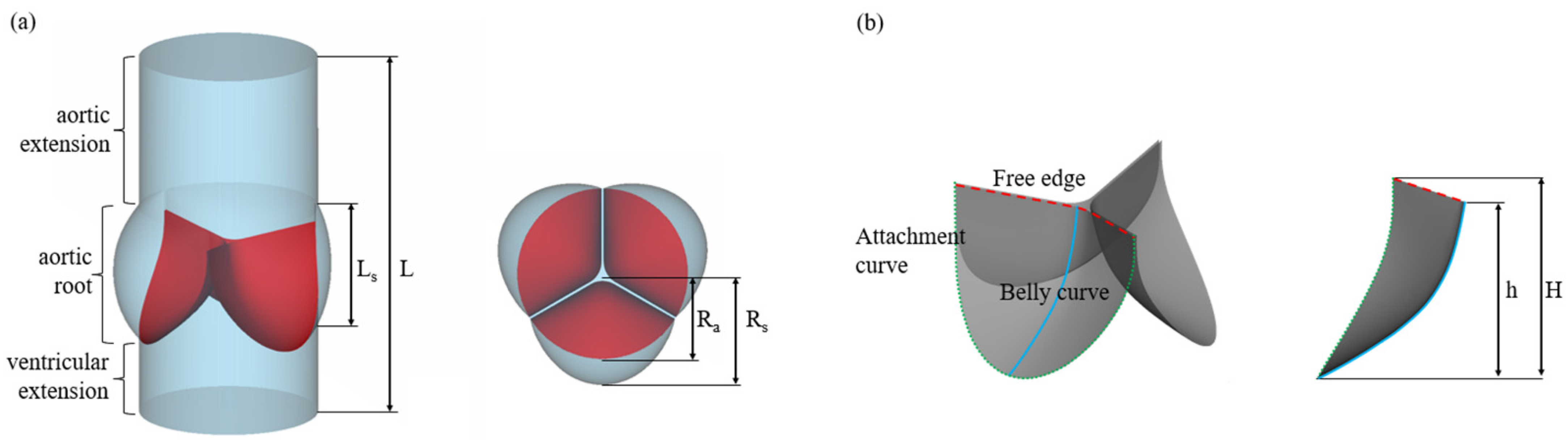 Analysis of the Effect of Thickness on the Performance of Polymeric Heart Valves