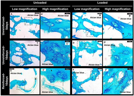 Reinforcement of Hydrogels with a 3D-Printed Polycaprolactone (PCL ...