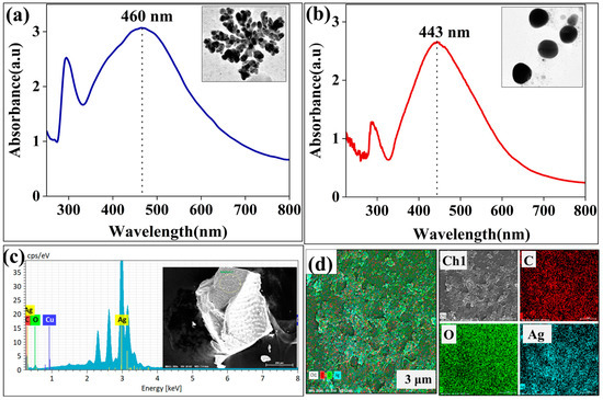 JFB | Free Full-Text | Green Synthesis of Controlled Shape Silver ...