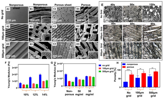 Fabrication and Evaluation of Porous dECM/PCL Scaffolds for Bone Tissue ...