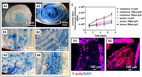 Fabrication and Evaluation of Porous dECM/PCL Scaffolds for Bone Tissue ...