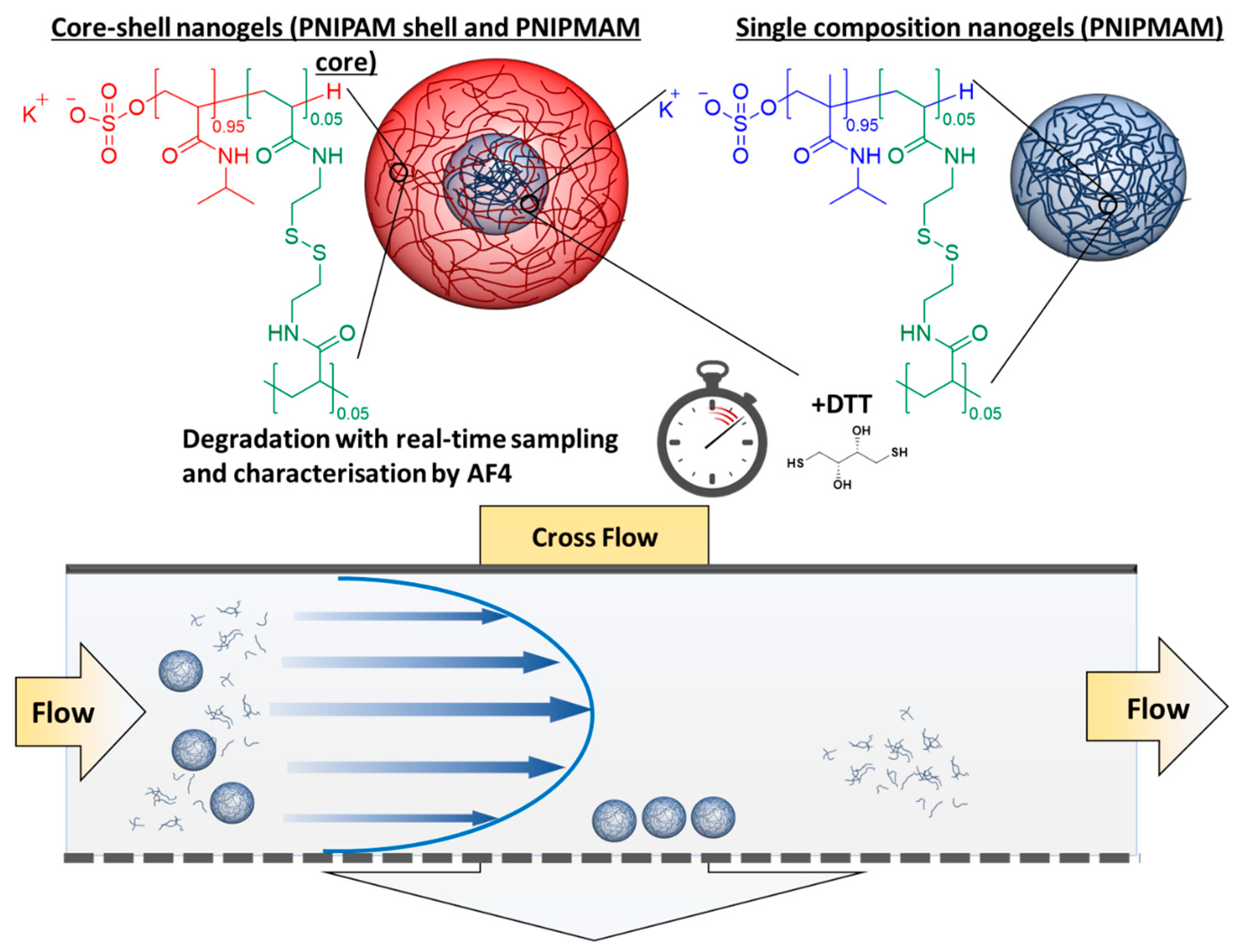 JFB | Free Full-Text | Understanding the Degradation of Core-Shell Nanogels Using Asymmetrical ...