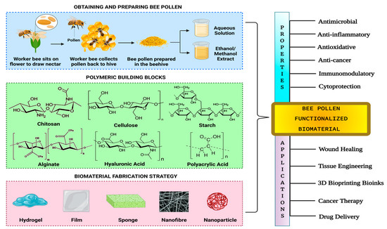Revolutionizing the Use of Honeybee Products in Healthcare: A Focused ...