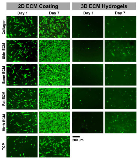 Collagen and Beyond: A Comprehensive Comparison of Human ECM Properties ...