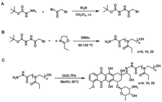 Convenient and Controllable Synthesis of Poly(2-oxazoline)-Conjugated ...