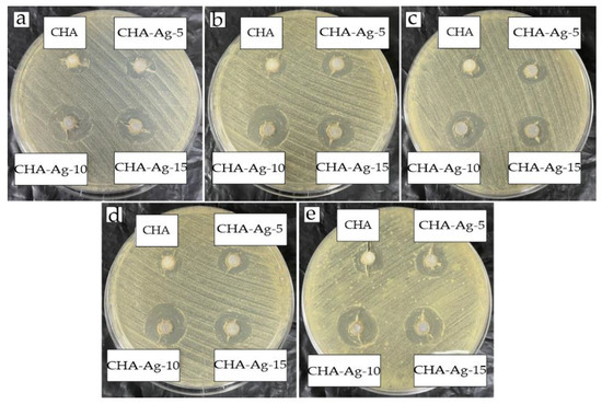 Synthesis of Biocompatible Silver-Doped Carbonate Hydroxyapatite ...