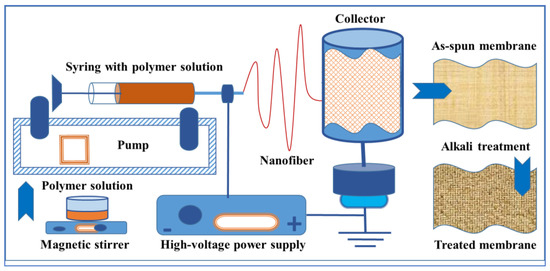 JFB | Free Full-Text | Fabrication and Characterization of Electrospun ...