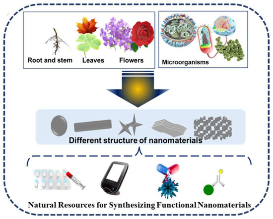 Drug Delivery Application of Functional Nanomaterials Synthesized Using Natural Sources