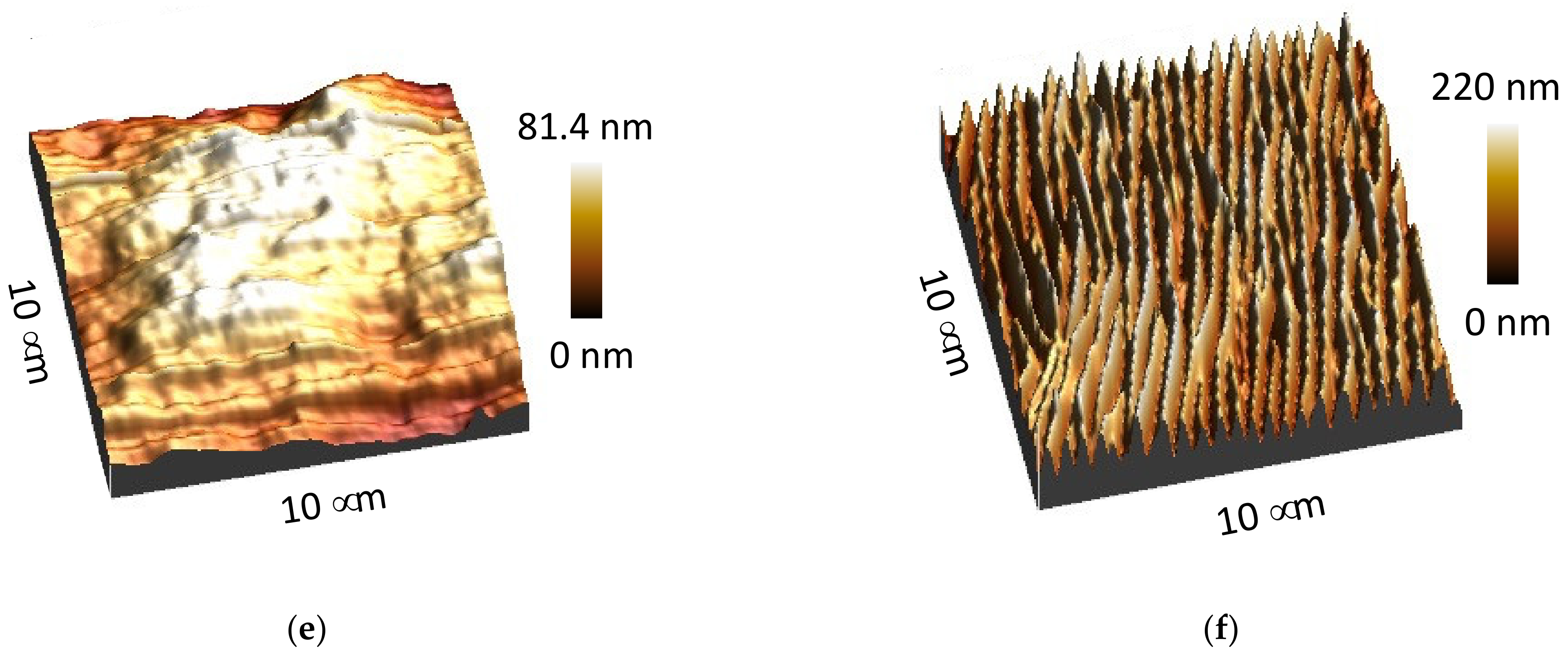 JFB | Free Full-Text | Foreign Body Reaction (Immune Response) for ...