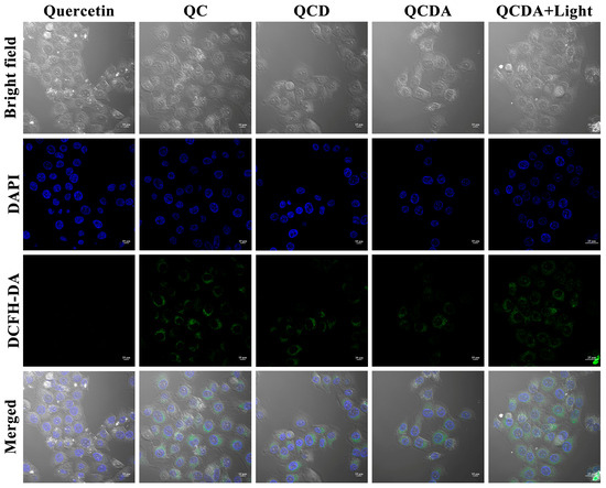 GSH-Activatable Metal-Phenolic Networks for Photothermal-Enhanced ...