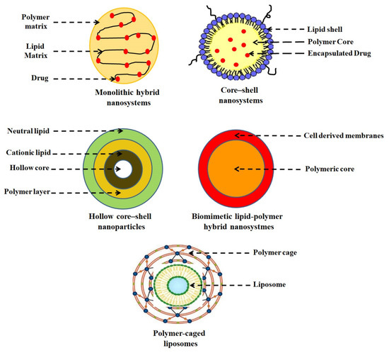 Lipid–Polymer Hybrid Nanosystems: A Rational Fusion for Advanced Therapeutic Delivery