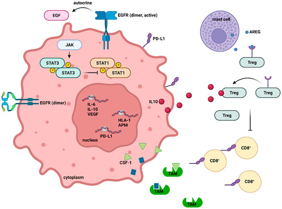 JFB | Free Full-Text | Targeted EGFR Nanotherapy in Non-Small Cell Lung Cancer