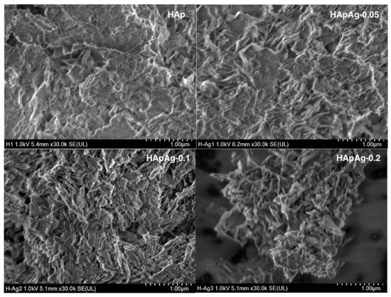 Characterization and Evaluation of Silver Concentrations in ...