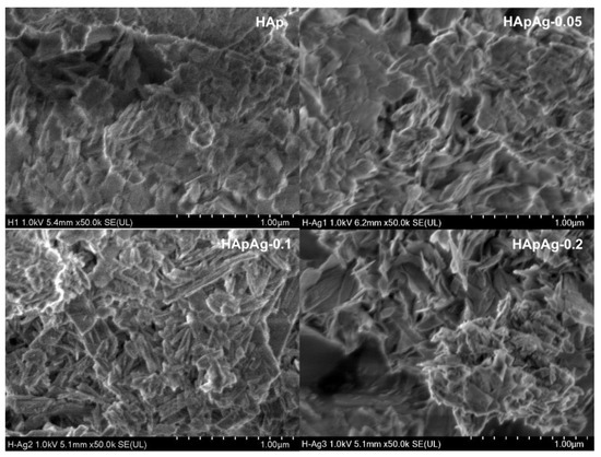 Characterization and Evaluation of Silver Concentrations in ...