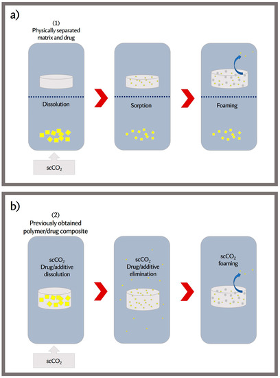 Current Trend and New Opportunities for Multifunctional Bio-Scaffold ...