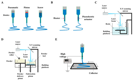 Development of Biocompatible 3D-Printed Artificial Blood Vessels ...