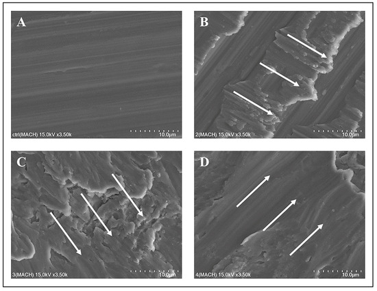The Impact of Mechanical Debridement Techniques on Titanium Implant ...