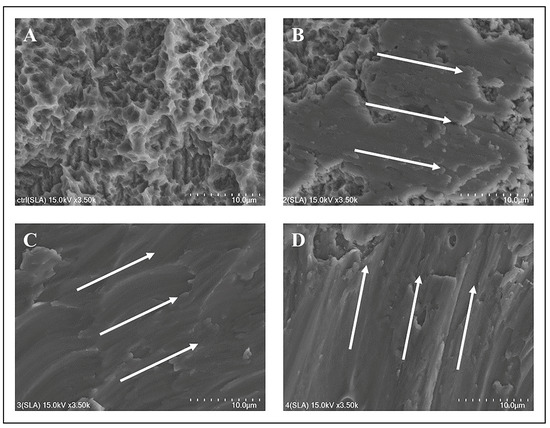 The Impact of Mechanical Debridement Techniques on Titanium Implant ...