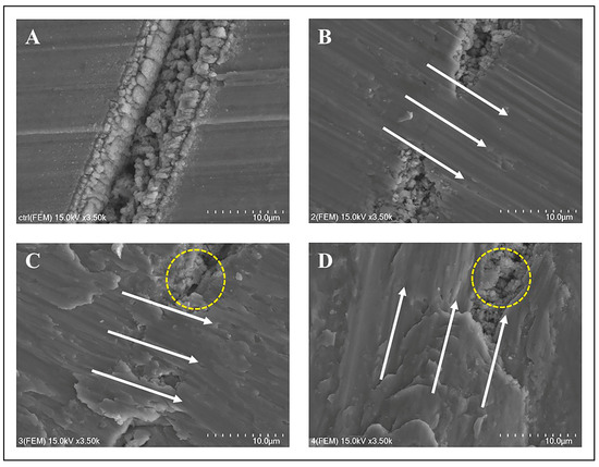 The Impact of Mechanical Debridement Techniques on Titanium Implant ...