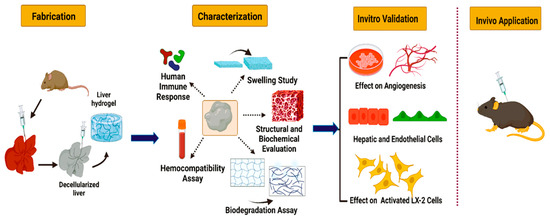 JFB | Free Full-Text | Decellularization Techniques for Tissue Engineering: Towards Replicating ...