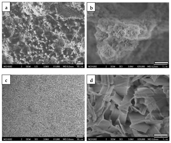 Heparin-Loaded Composite Coatings on Porous Stent from Pure Magnesium ...