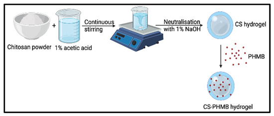 Antiseptic Chitosan-Poly(hexamethylene) Biguanide Hydrogel for the ...