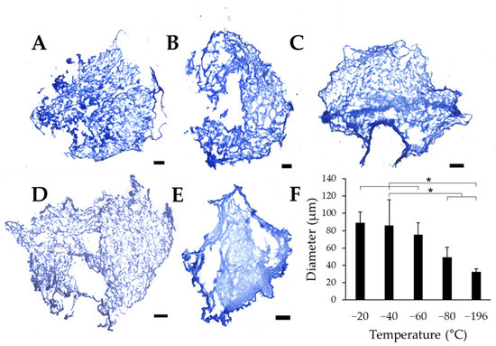 Aligned Collagen Sponges with Tunable Pore Size for Skeletal Muscle ...