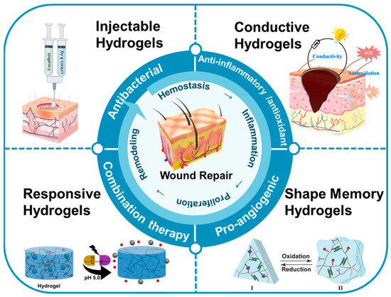 Rational Design of Multifunctional Hydrogels for Wound Repair