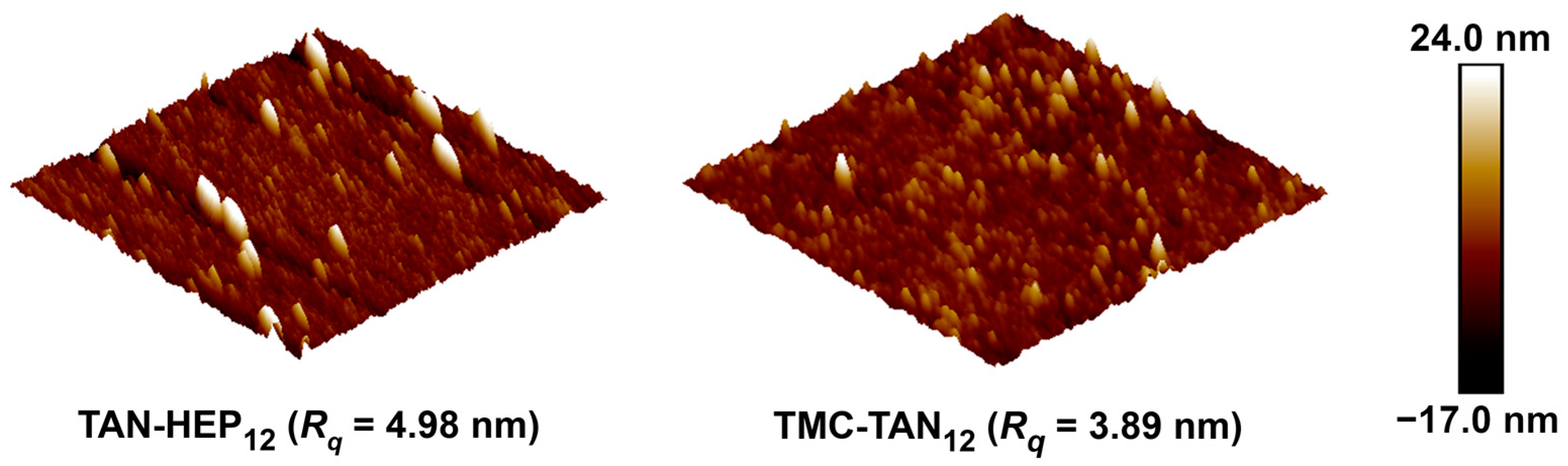 JFB | Free Full-Text | Expanding the Scope of an Amphoteric Condensed ...