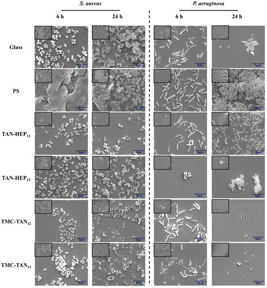 JFB | Free Full-Text | Expanding the Scope of an Amphoteric Condensed ...