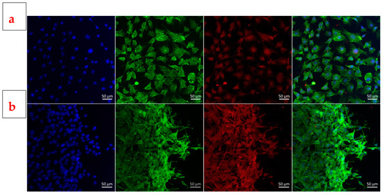 The Effect of Silver and Samarium on the Properties of Bioglass ...