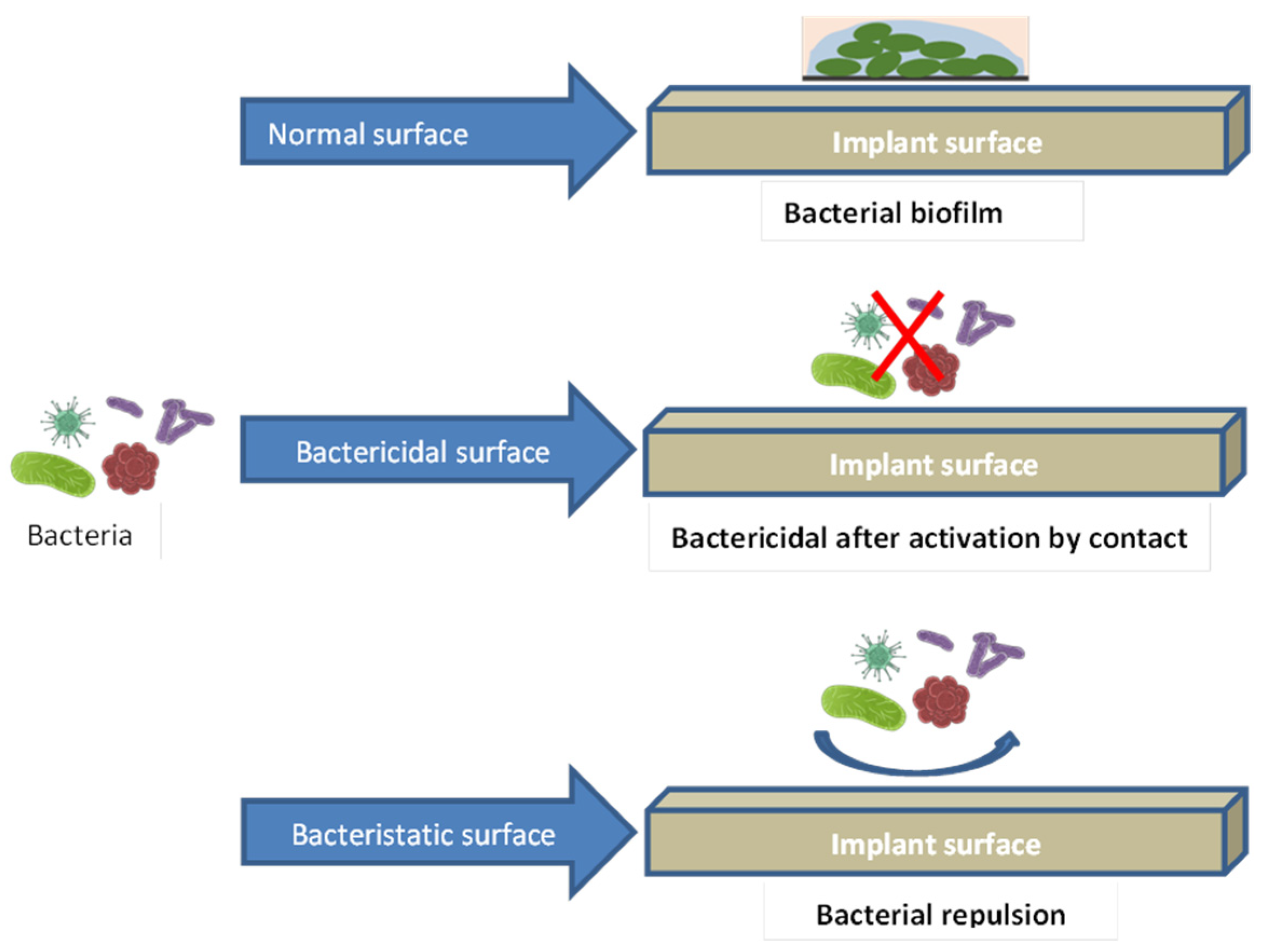 Biomimetic Coatings in Implant Dentistry: A Quick Update
