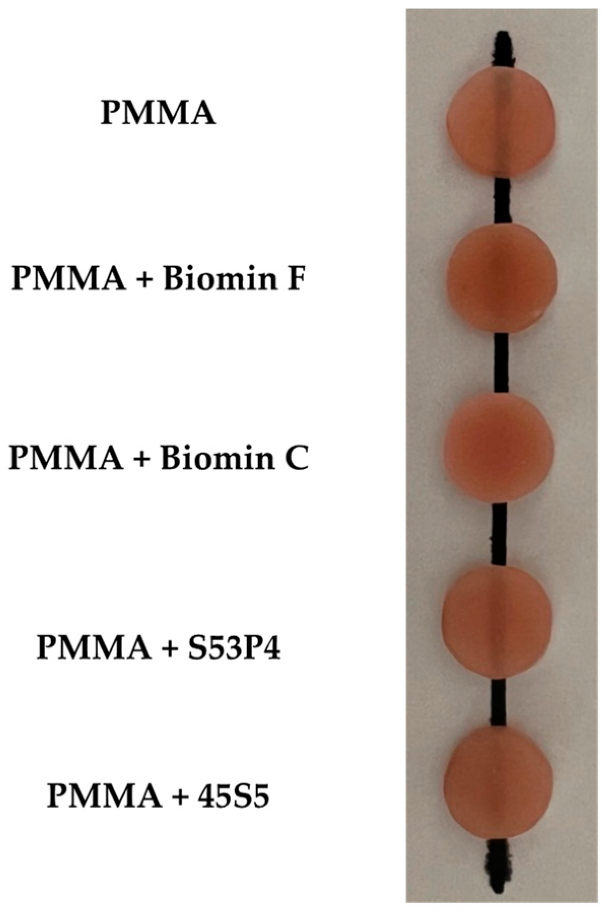JFB | Free Full-Text | Evaluating the Translucency, Surface Roughness ...