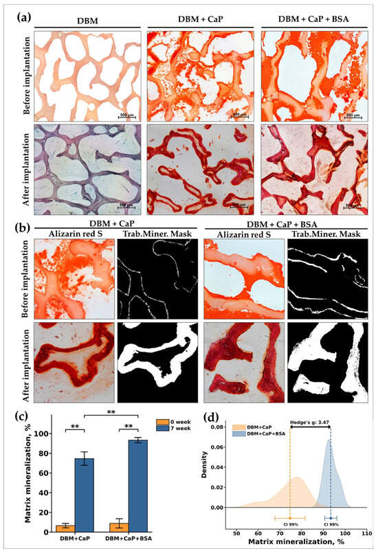 JFB | Free Full-Text | Composite Remineralization of Bone-Collagen ...