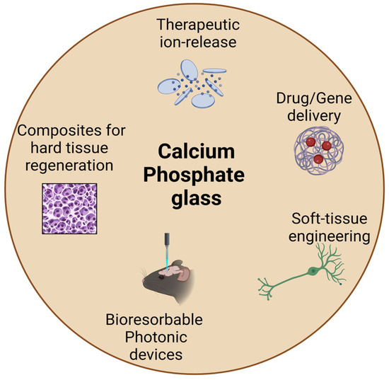 JFB | Free Full-Text | Advancements in Biomedical Applications of Calcium Phosphate Glass and ...