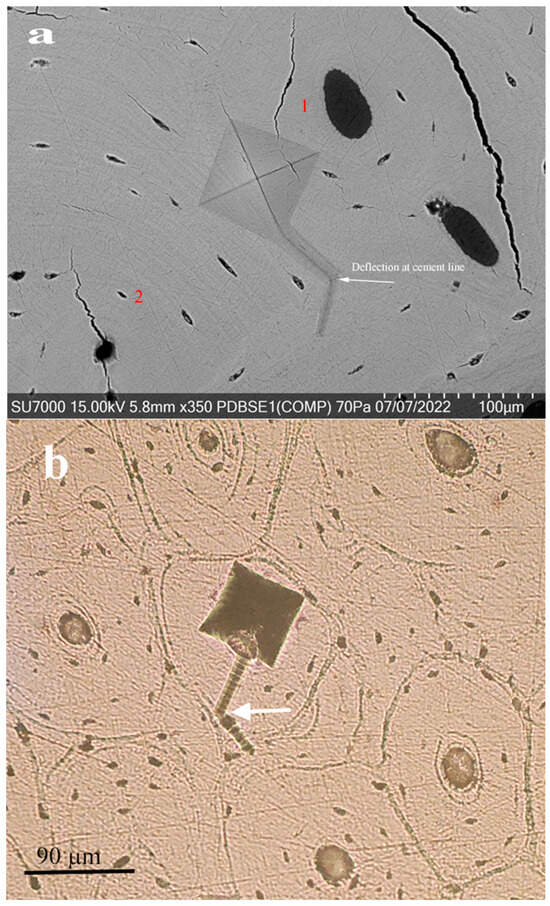 A Novel Viscoelastic Deformation Mechanism Uncovered during Vickers ...