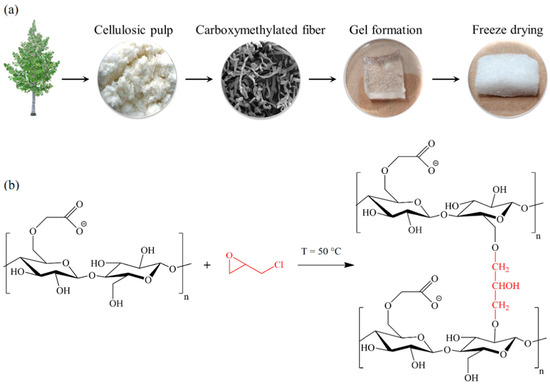 Advancements in Hybrid Cellulose-Based Films: Innovations and ...