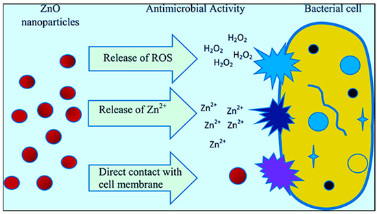 Zinc Oxide-Based Nanomaterials for Microbiostatic Activities: A Review