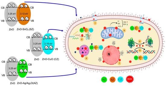 Zinc Oxide-Based Nanomaterials for Microbiostatic Activities: A Review