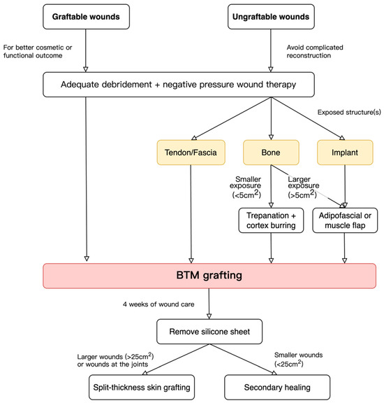 Strategic Use of Biodegradable Temporizing Matrix (BTM) in Wound ...