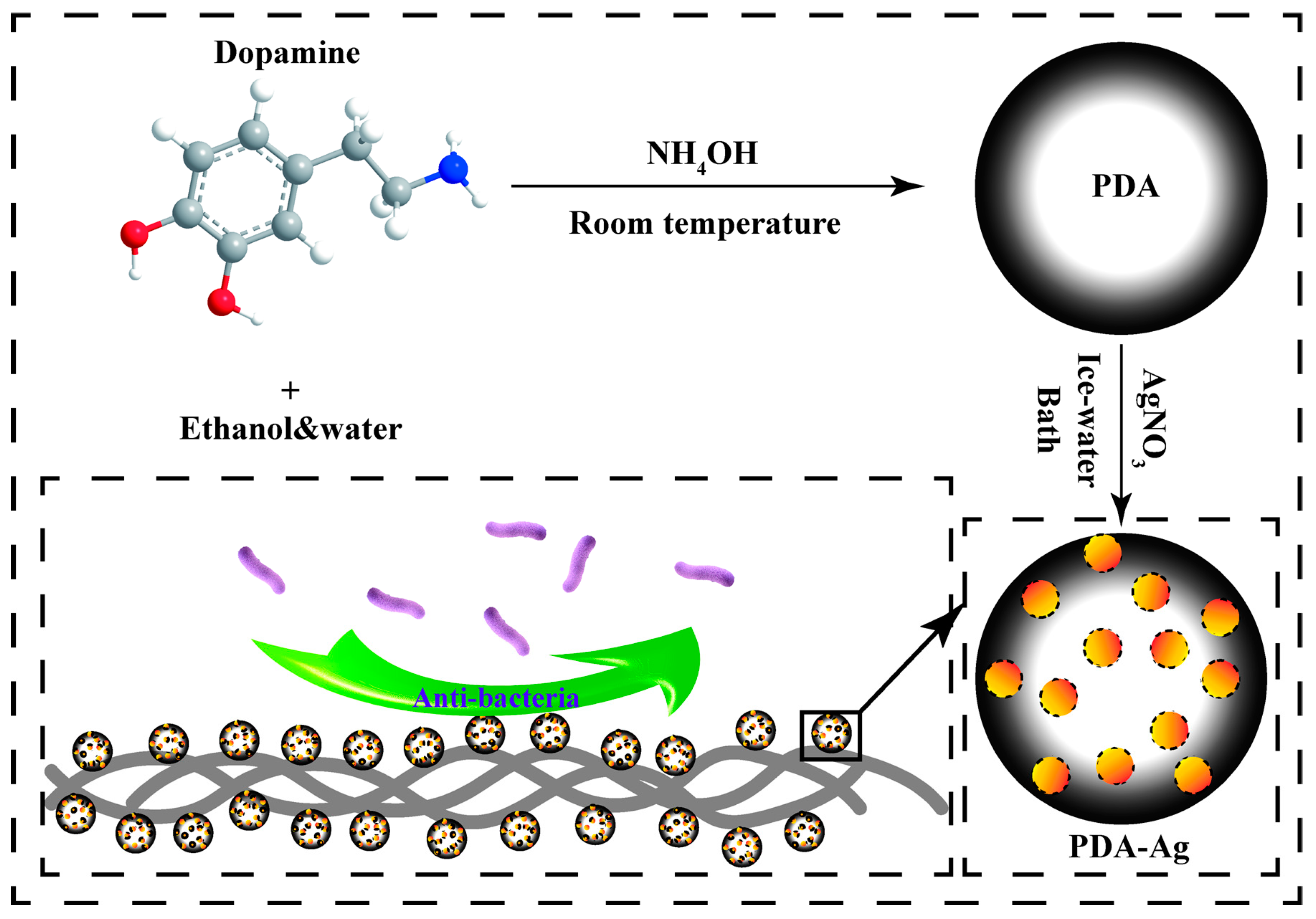 Enhancing Antimicrobial Performance of Gauze via Modification by Ag ...