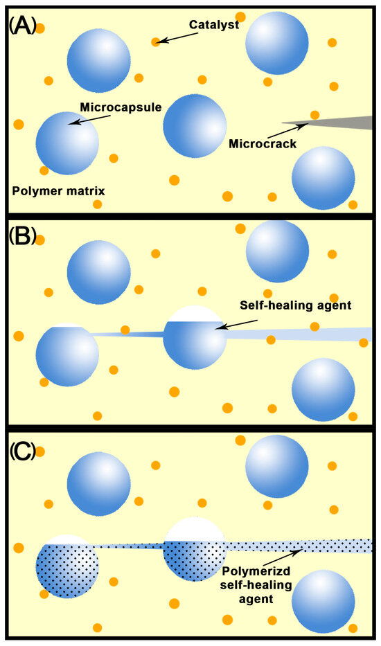 A Review on the Current State of Microcapsule-Based Self-Healing Dental ...