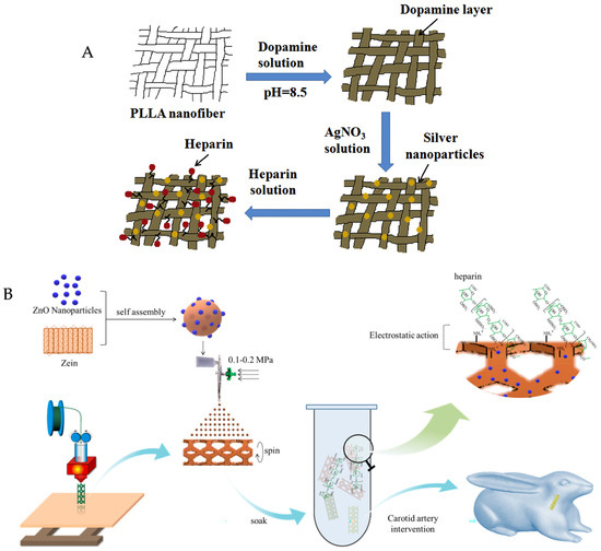 Current Advances in Nanomaterials Affecting Functions and Morphology of ...