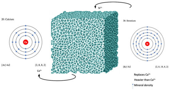 Applications of Bioactive Strontium Compounds in Dentistry