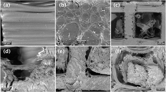 In Vitro Biocompatibility Assessment of Bioengineered PLA-Hydrogel Core ...